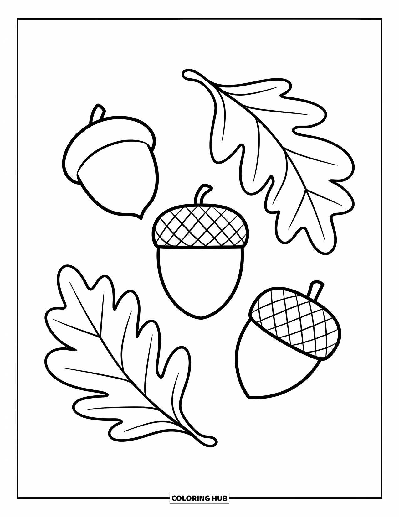 90+ Acorn Coloring Pages for Kids & Adults (Free Printable PDFs)