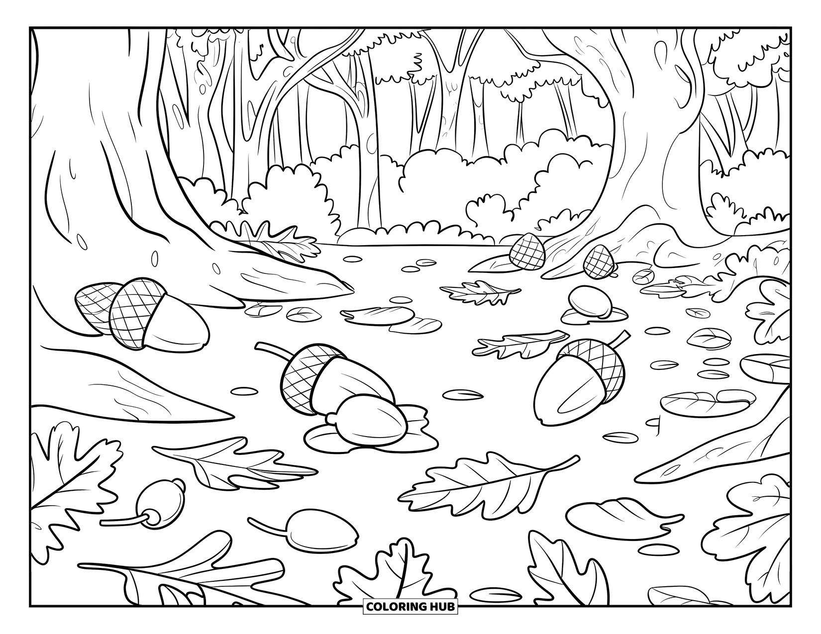 90+ Acorn Coloring Pages for Kids & Adults (Free Printable PDFs)