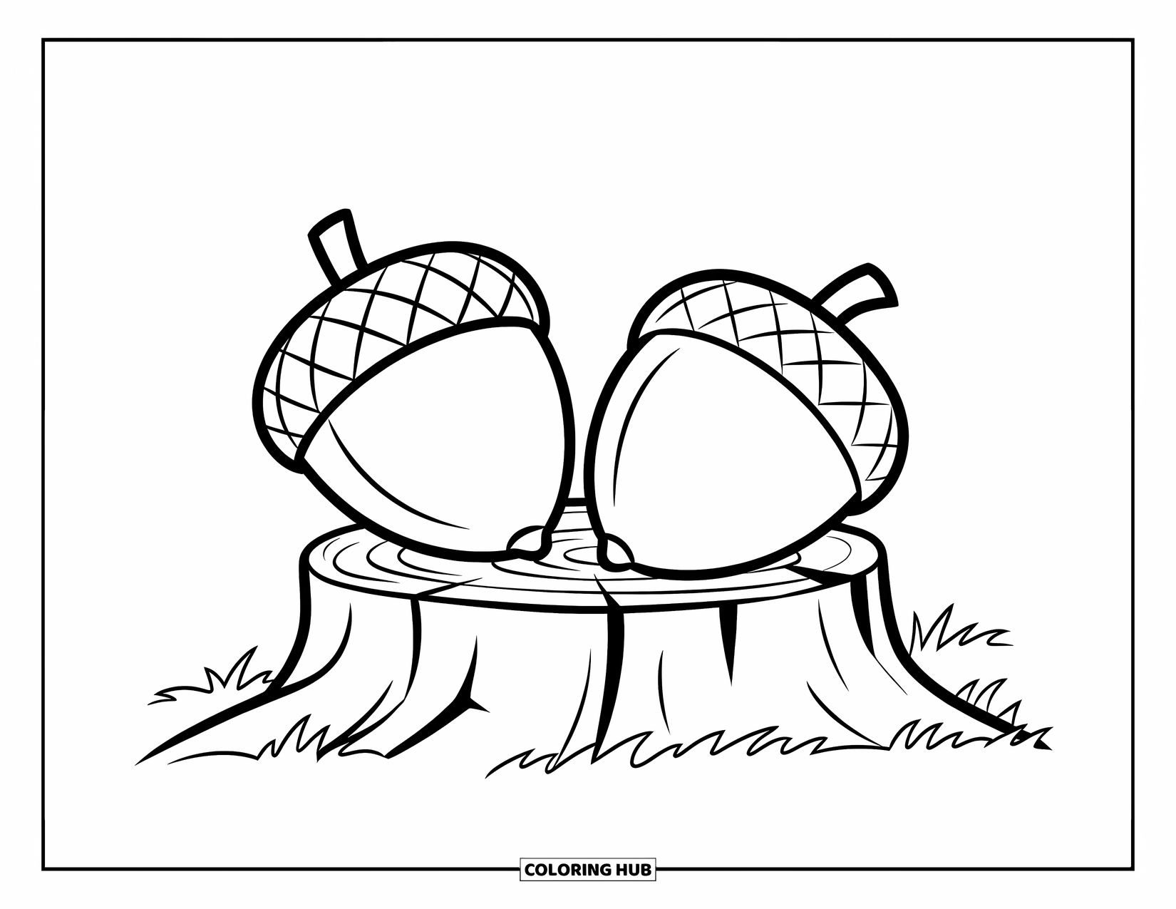 90+ Acorn Coloring Pages for Kids & Adults (Free Printable PDFs)