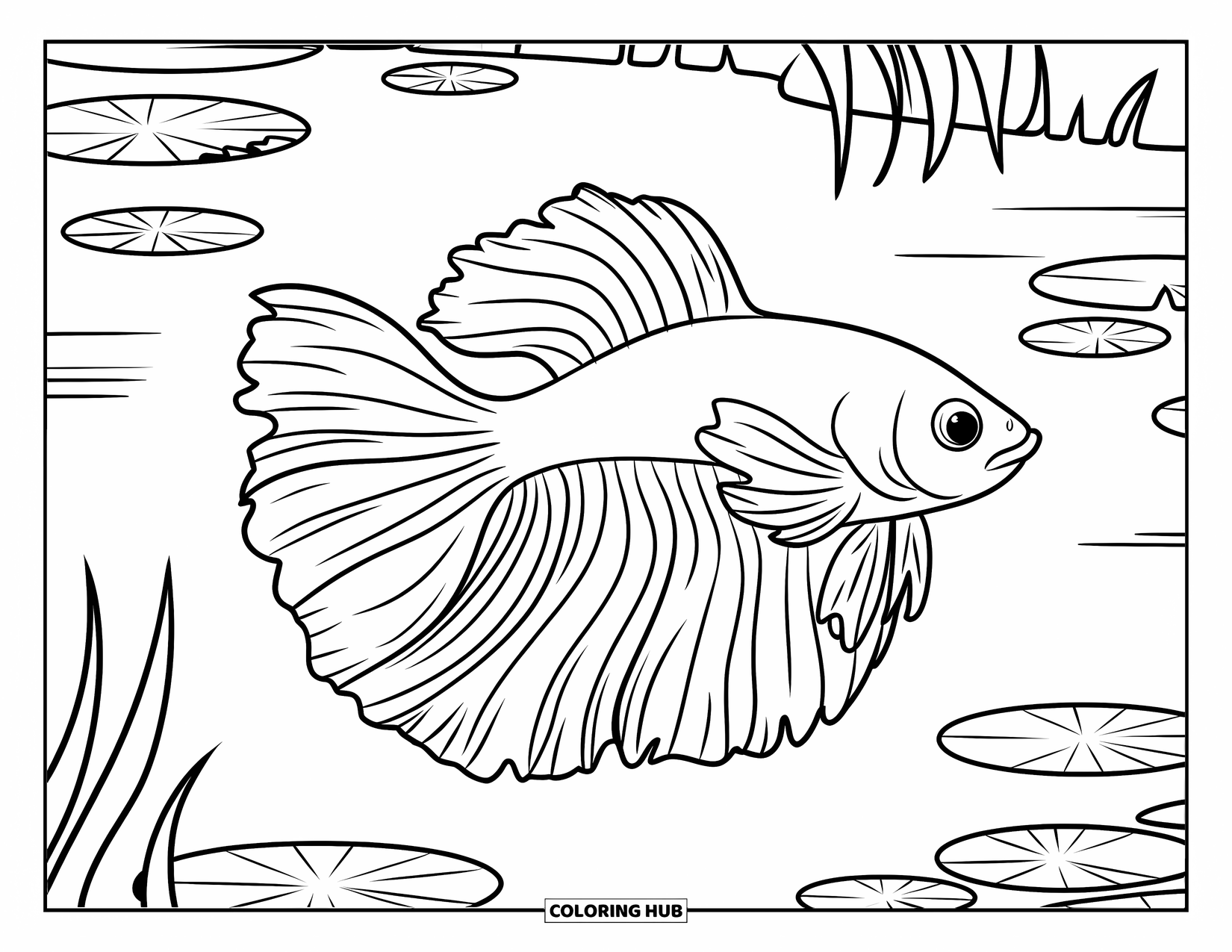 75+ Betta Fish Coloring Pages for Kids & Adults (Free Printable PDFs)