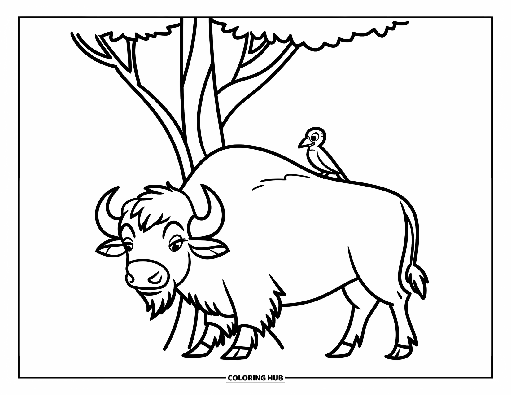 85+ Buffalo Coloring Pages for Kids & Adults (Free Printable PDFs)