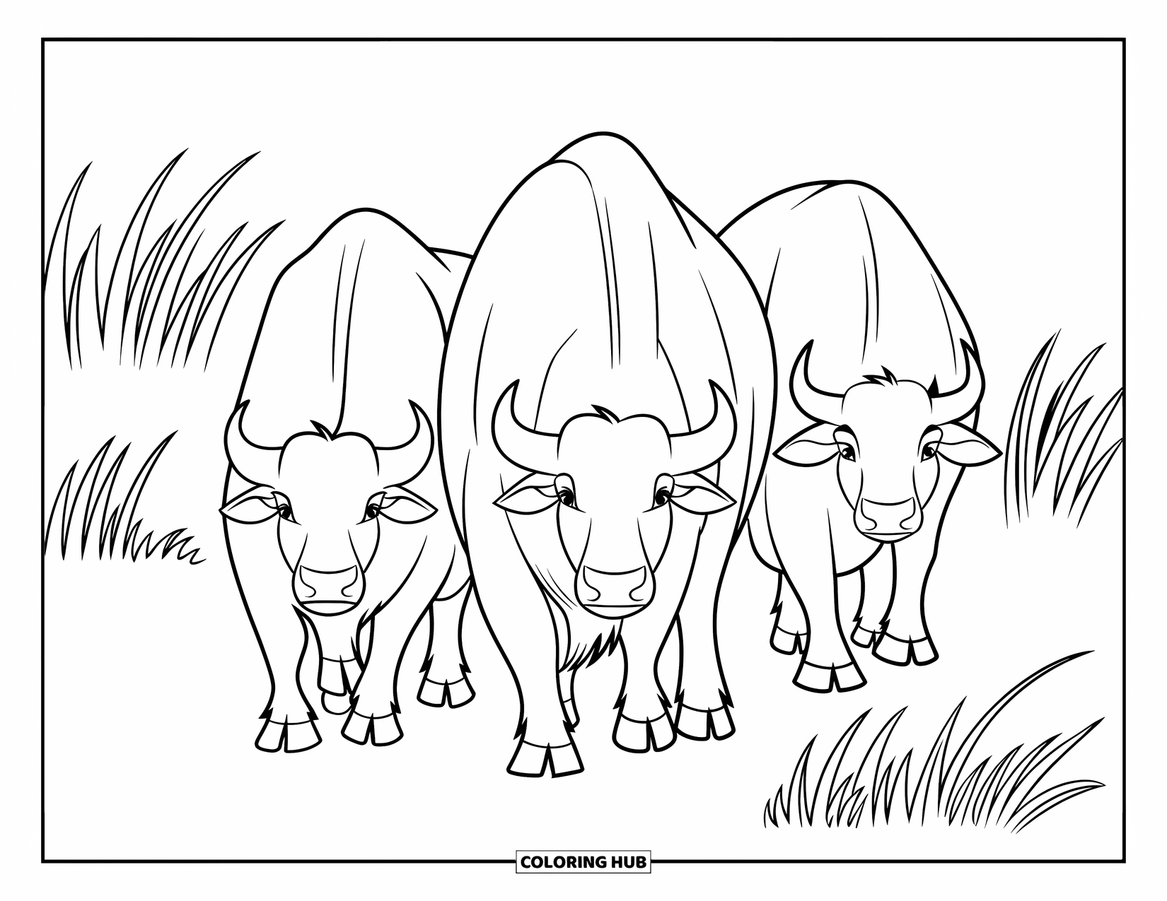 85+ Buffalo Coloring Pages for Kids & Adults (Free Printable PDFs)