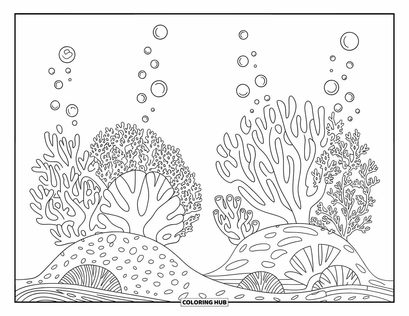 65+ Coral Coloring Pages for Kids & Adults (Free Printable PDFs)