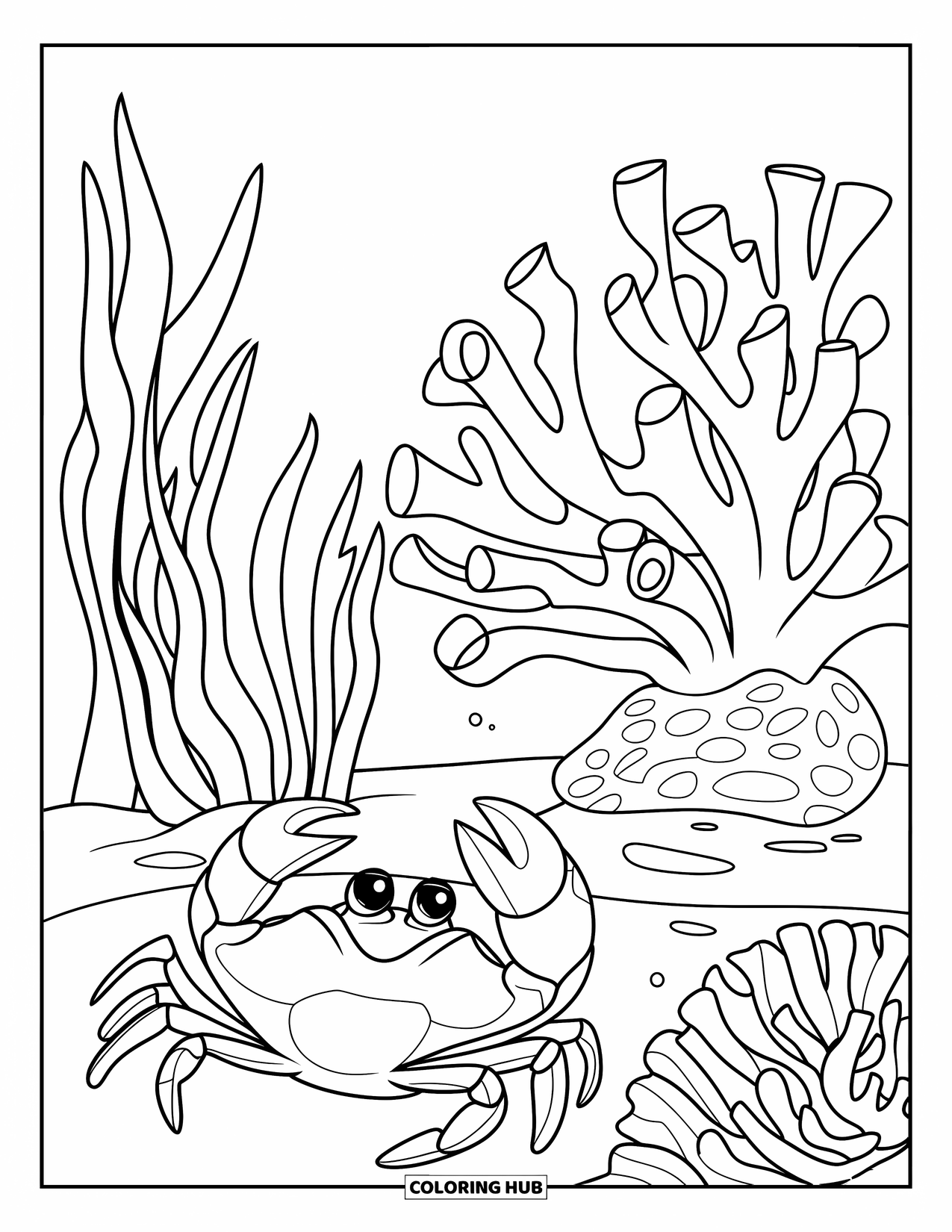 65+ Coral Coloring Pages for Kids & Adults (Free Printable PDFs)