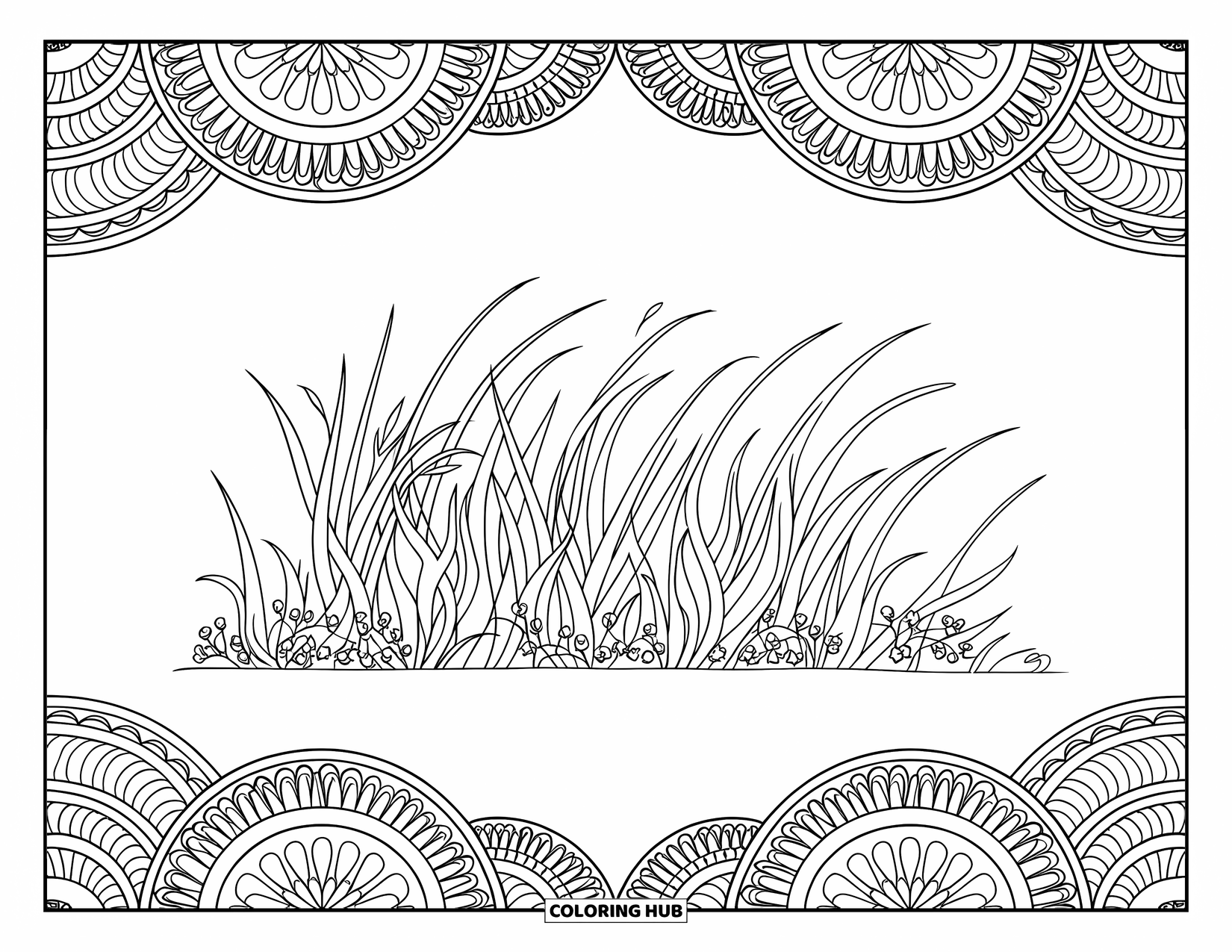 70+ Grass Coloring Pages for Kids & Adults (Free Printable PDFs)