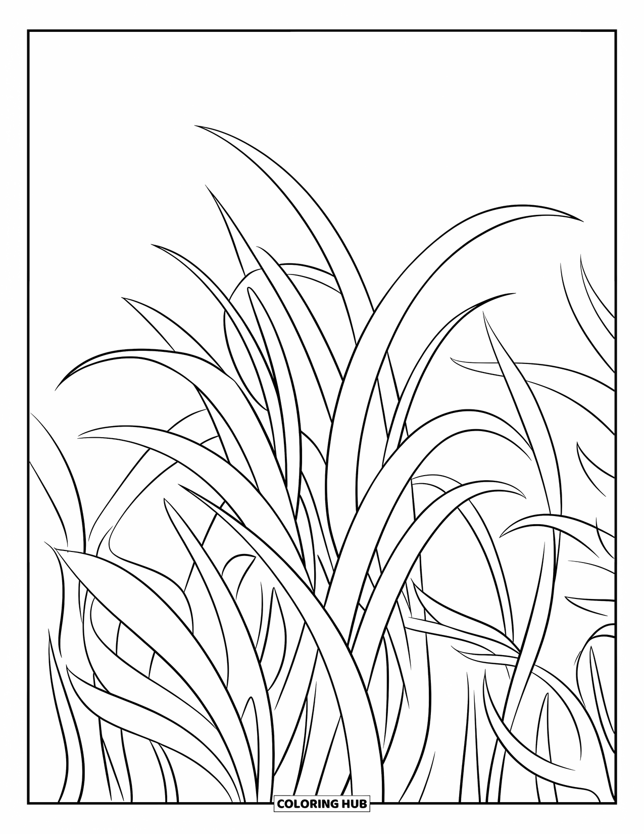 70+ Grass Coloring Pages for Kids & Adults (Free Printable PDFs)