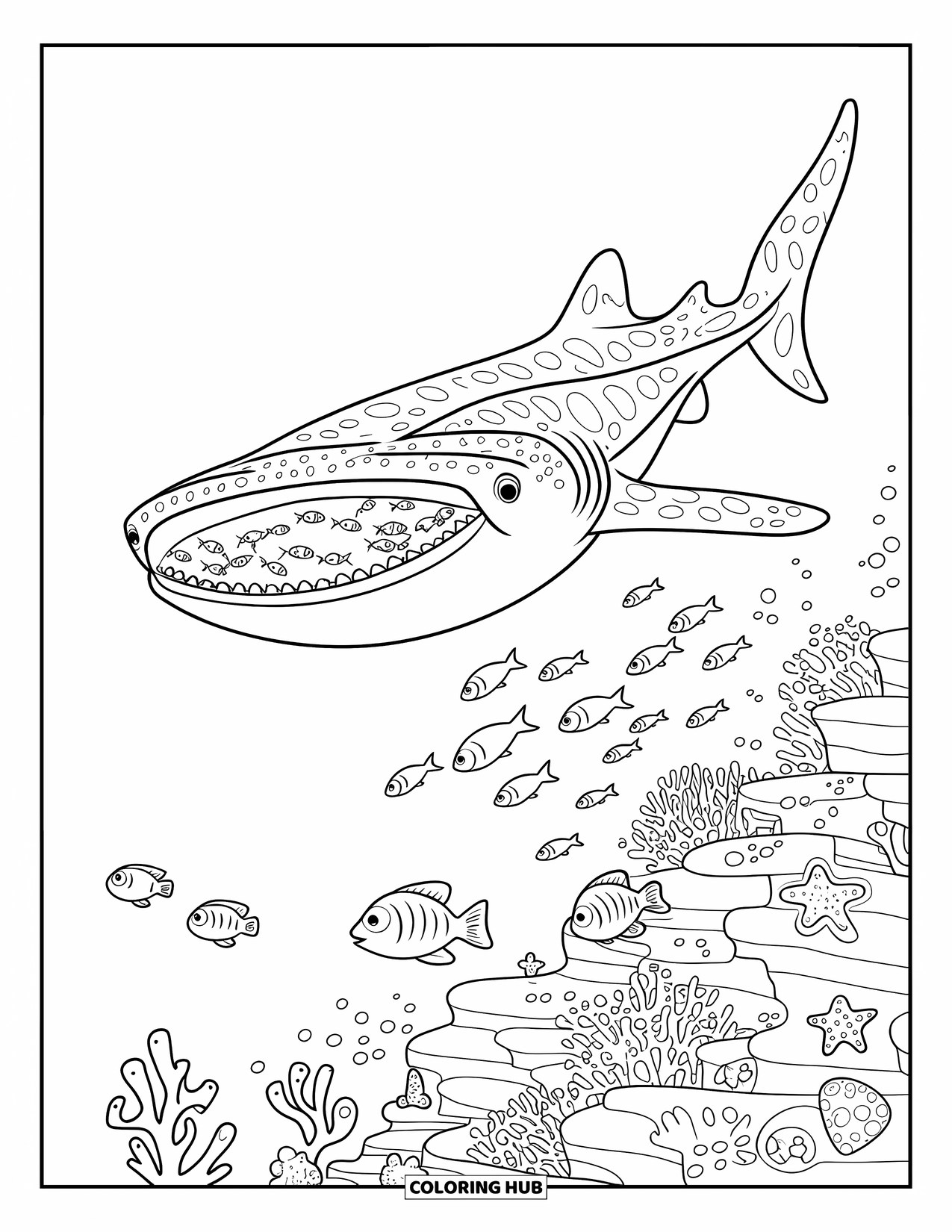 75+ Whale Shark Coloring Pages for Kids & Adults (Free Printable PDFs)