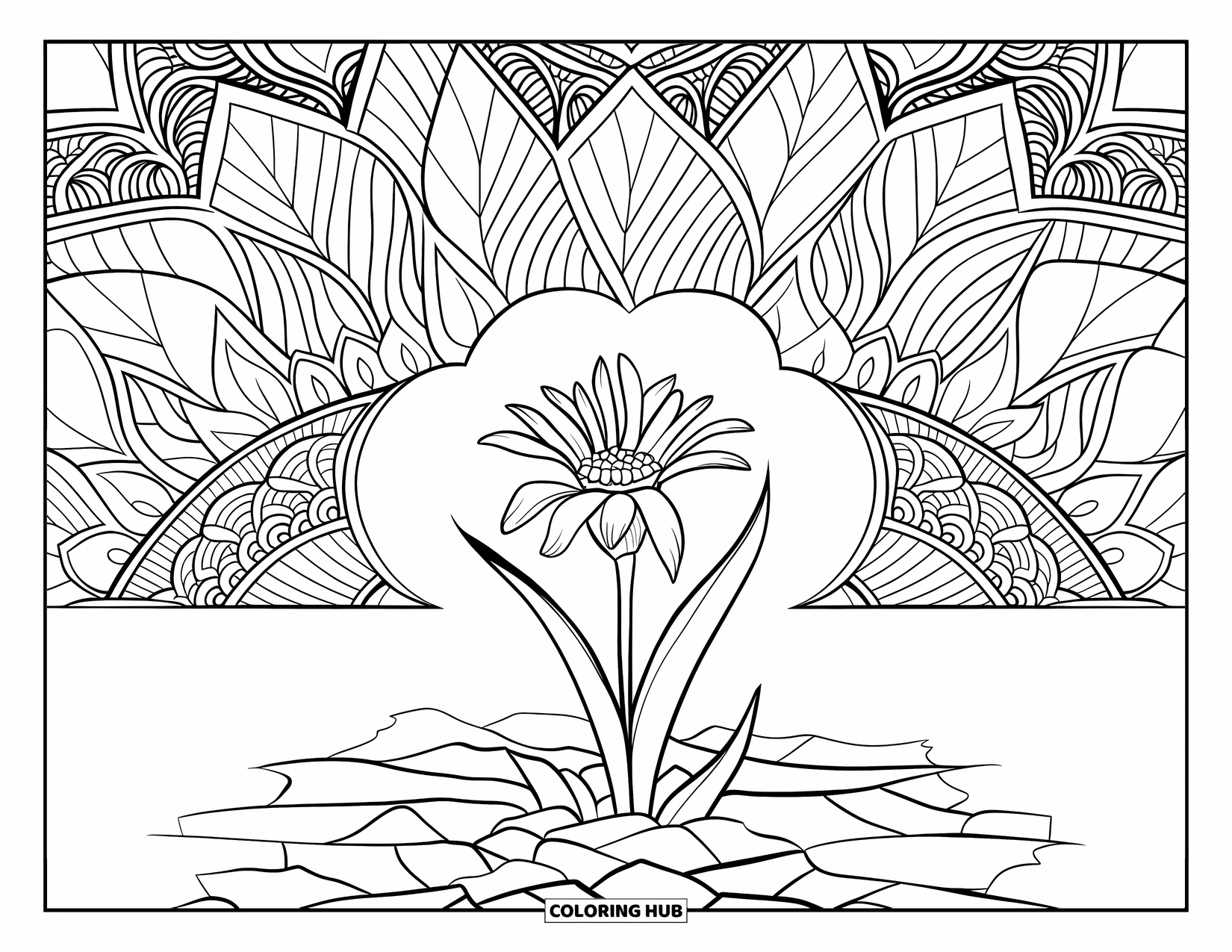 90+ Wildflower Coloring Pages for Kids & Adults (Free Printable PDFs)