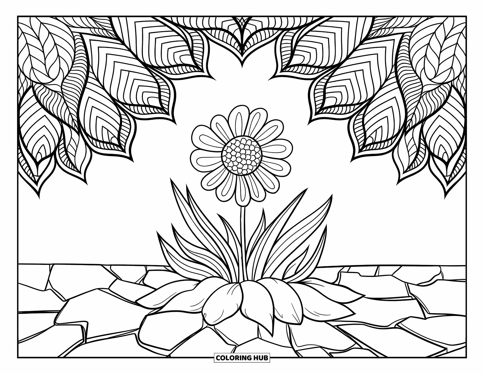 90+ Wildflower Coloring Pages for Kids & Adults (Free Printable PDFs)