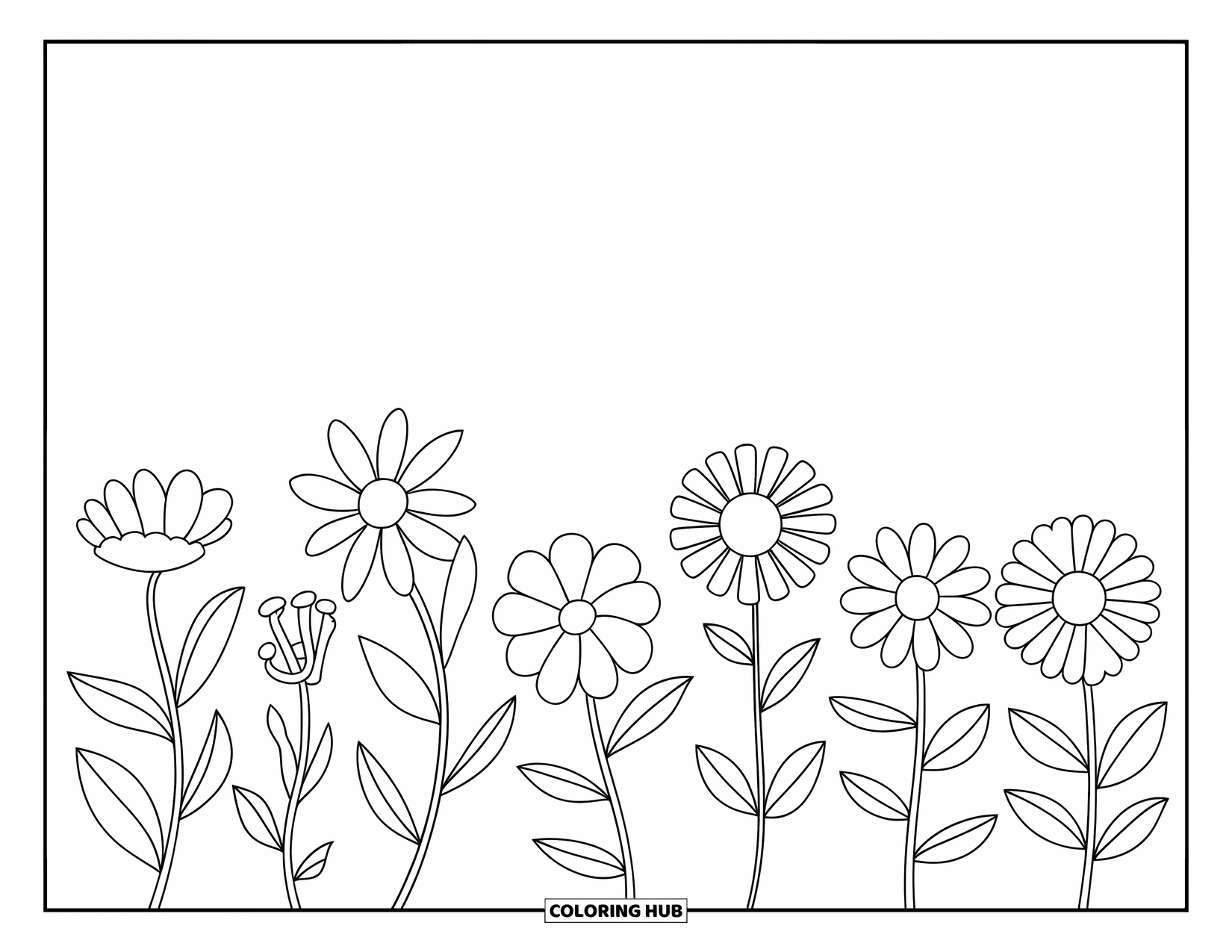 90+ Wildflower Coloring Pages for Kids & Adults (Free Printable PDFs)