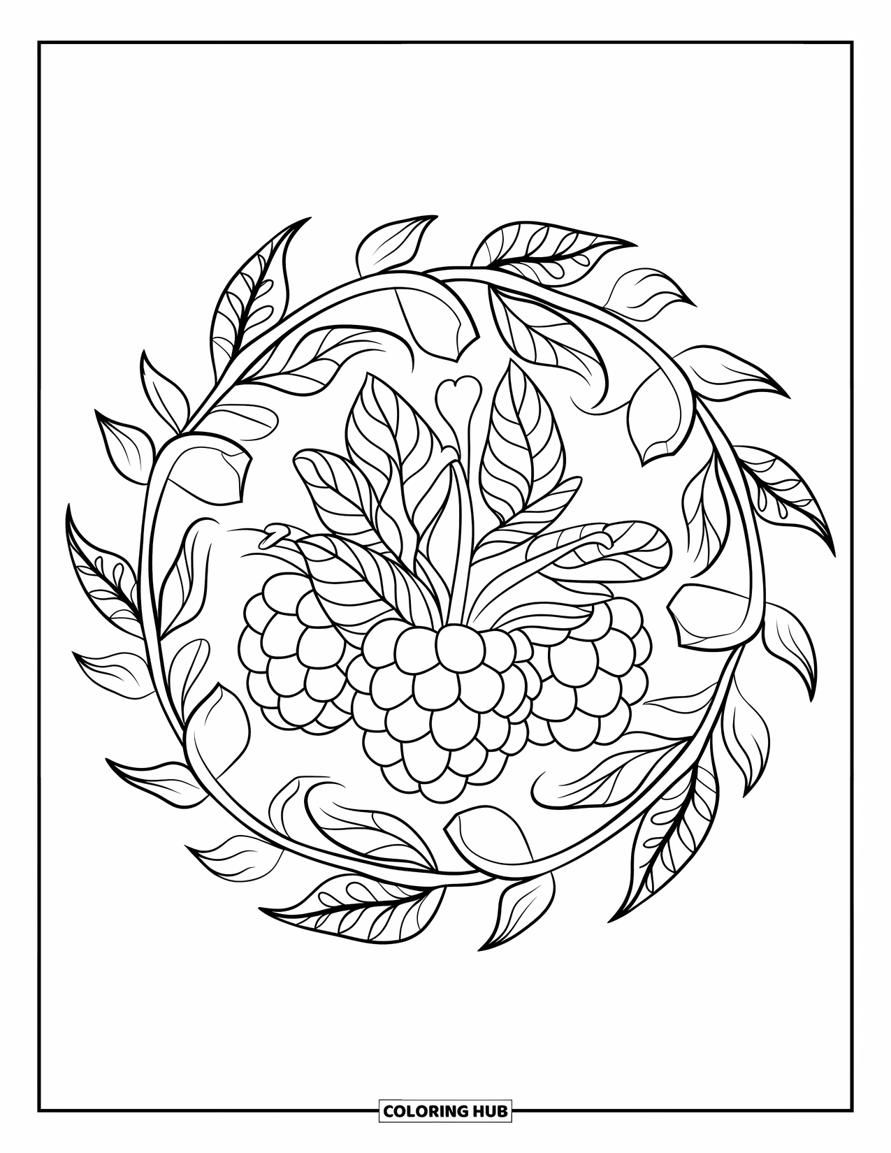 95+ Berry Coloring Pages for Kids & Adults (Free Printable PDFs)