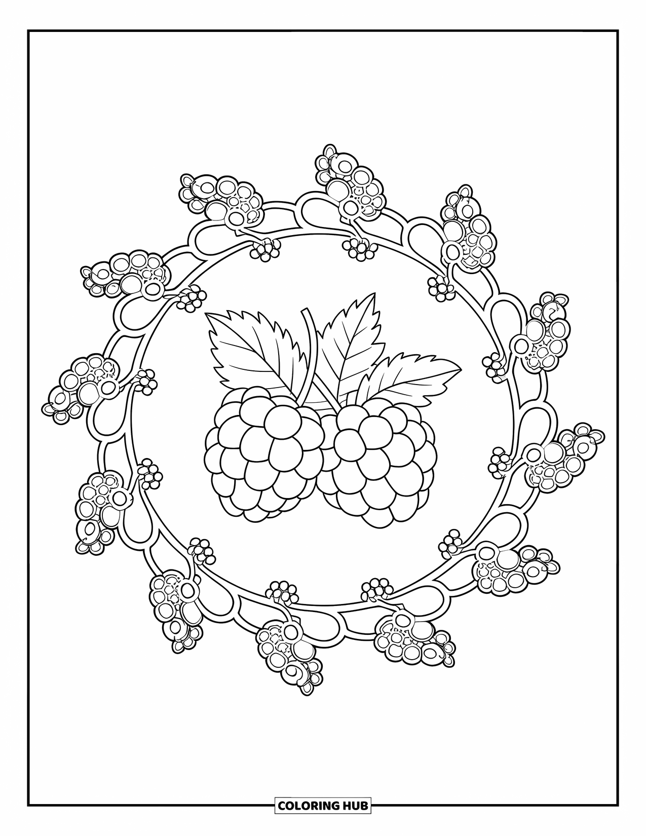 95+ Berry Coloring Pages for Kids & Adults (Free Printable PDFs)