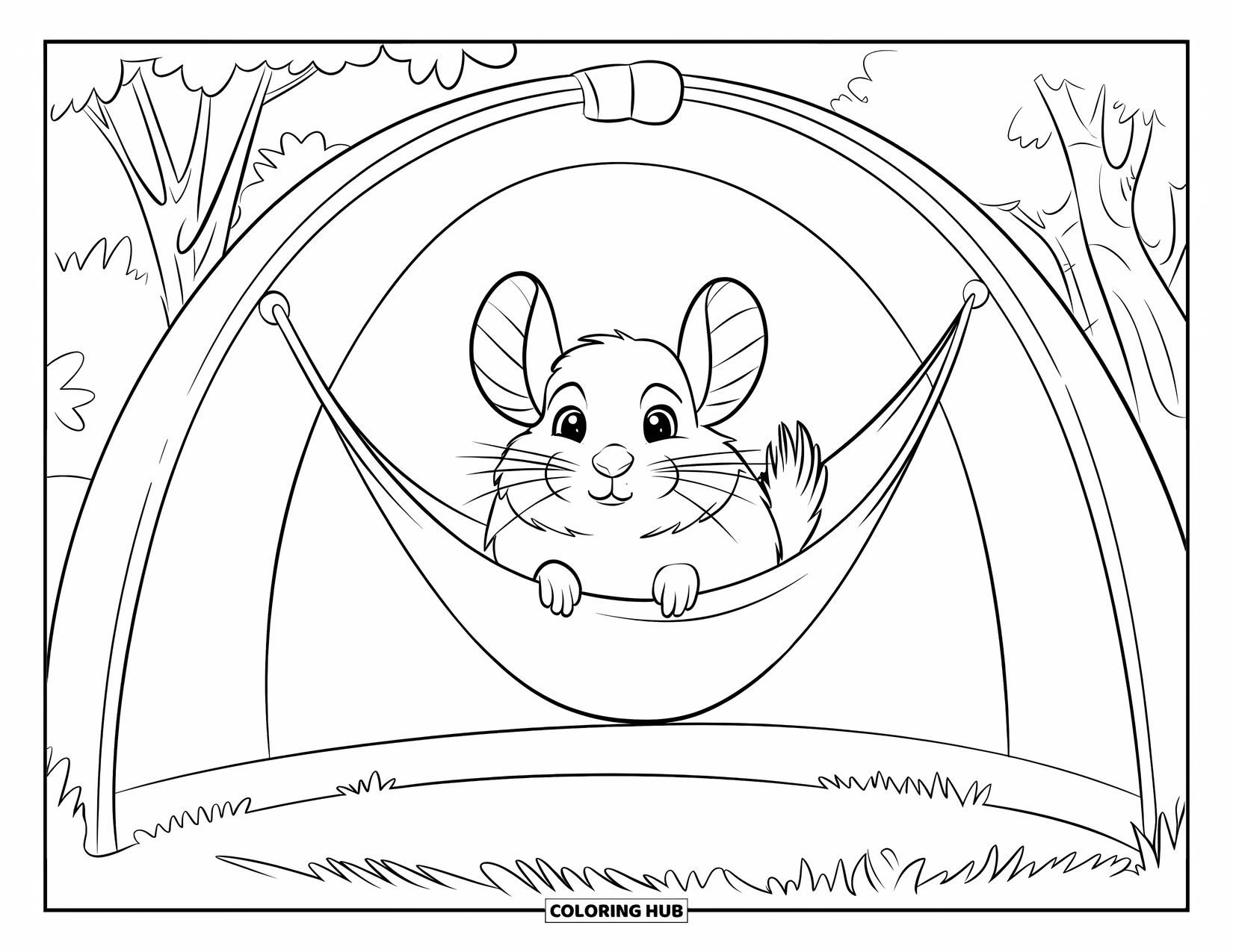 90+ Chinchilla Coloring Pages for Kids & Adults (Free Printable PDFs)