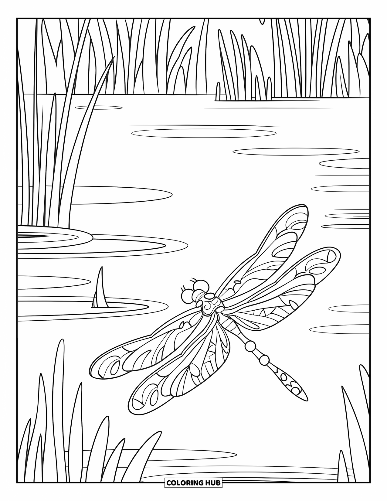 65+ Dragonfly Coloring Pages for Kids & Adults (Free Printable PDFs)