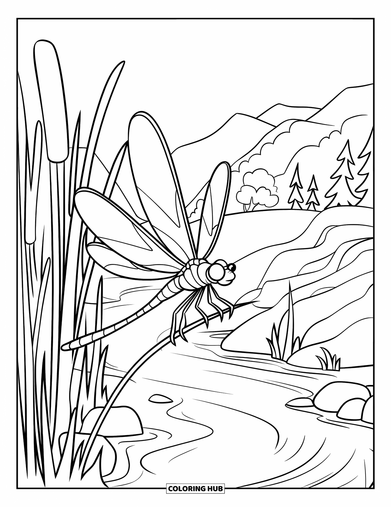 65+ Dragonfly Coloring Pages for Kids & Adults (Free Printable PDFs)