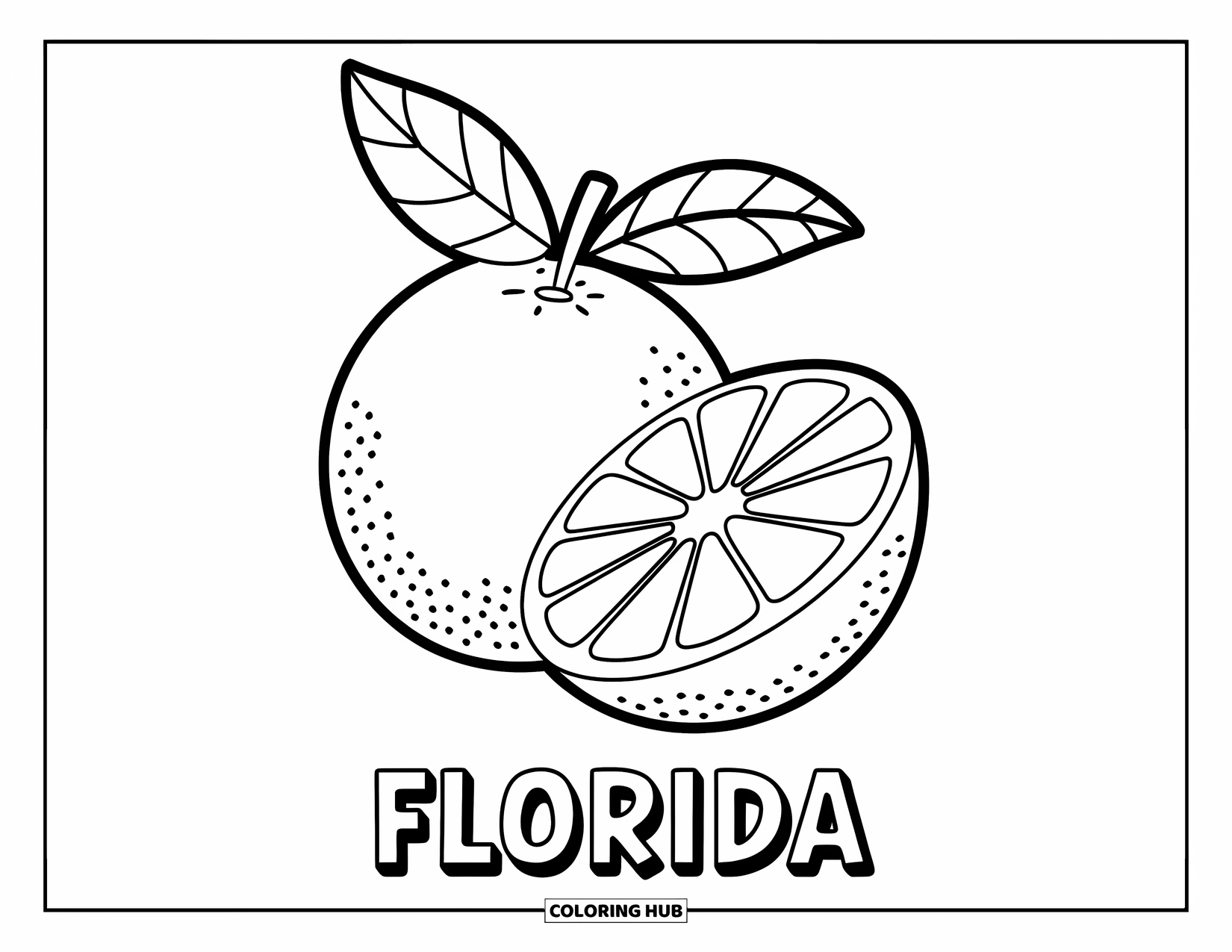 70+ Florida Coloring Pages for Kids & Adults (Free Printable PDFs)