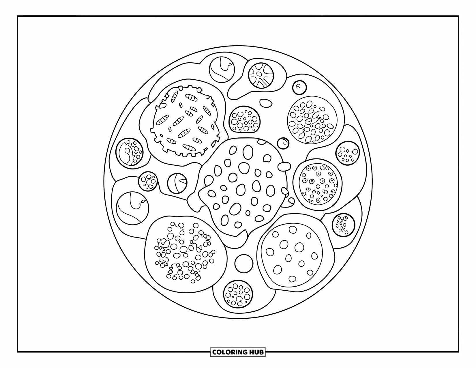 55+ Germ Coloring Pages for Kids & Adults (Free Printable PDFs)