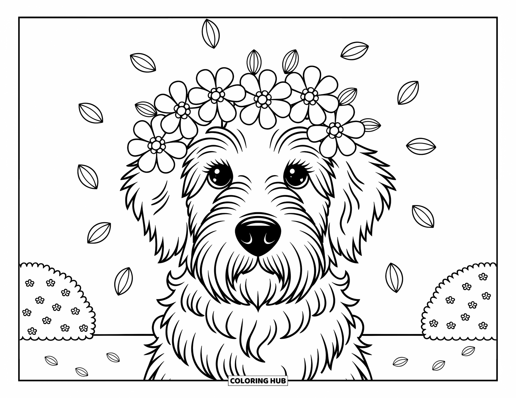 85+ Labradoodle Coloring Pages for Kids & Adults (Free Printable PDFs)