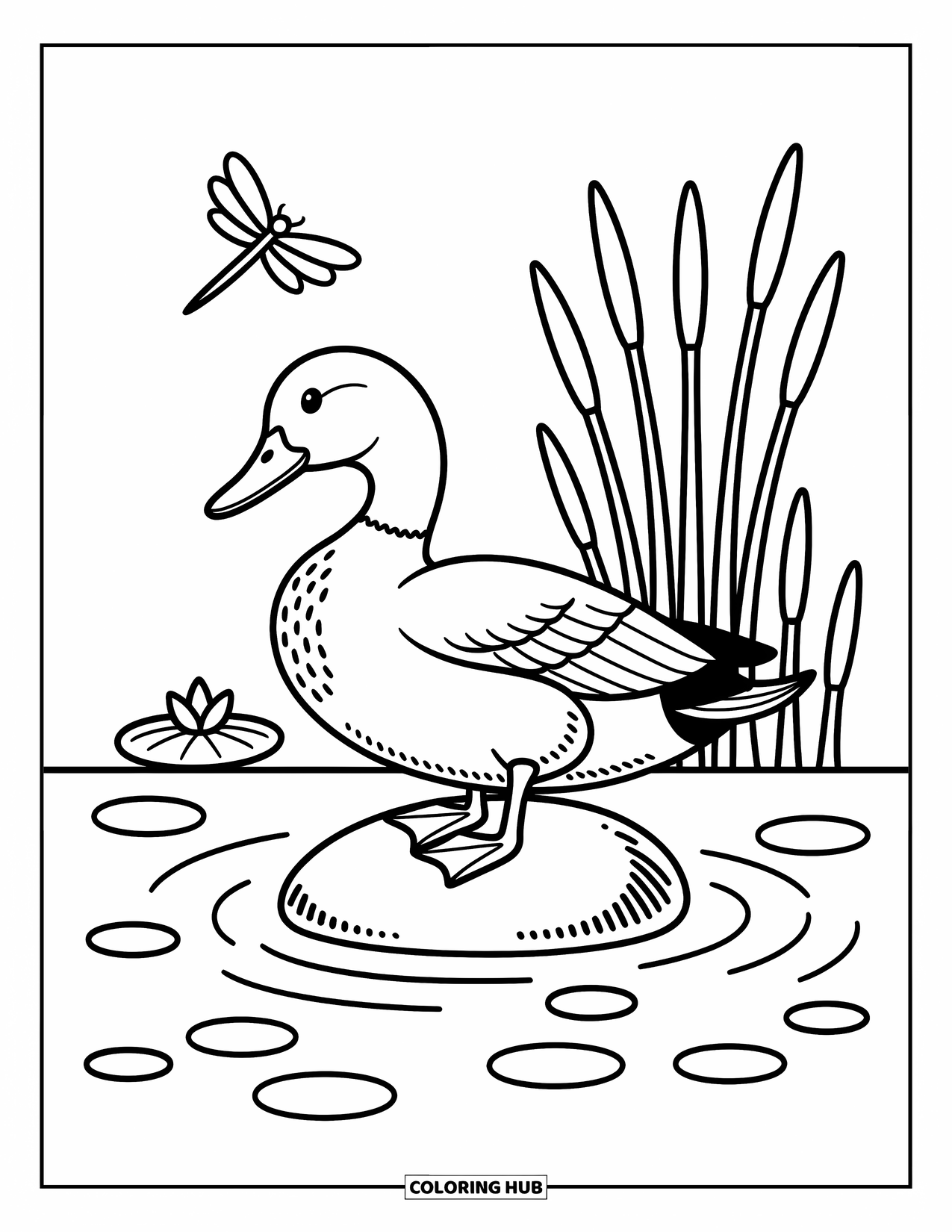 80+ Mallard Duck Coloring Pages for Kids & Adults (Free Printable PDFs)