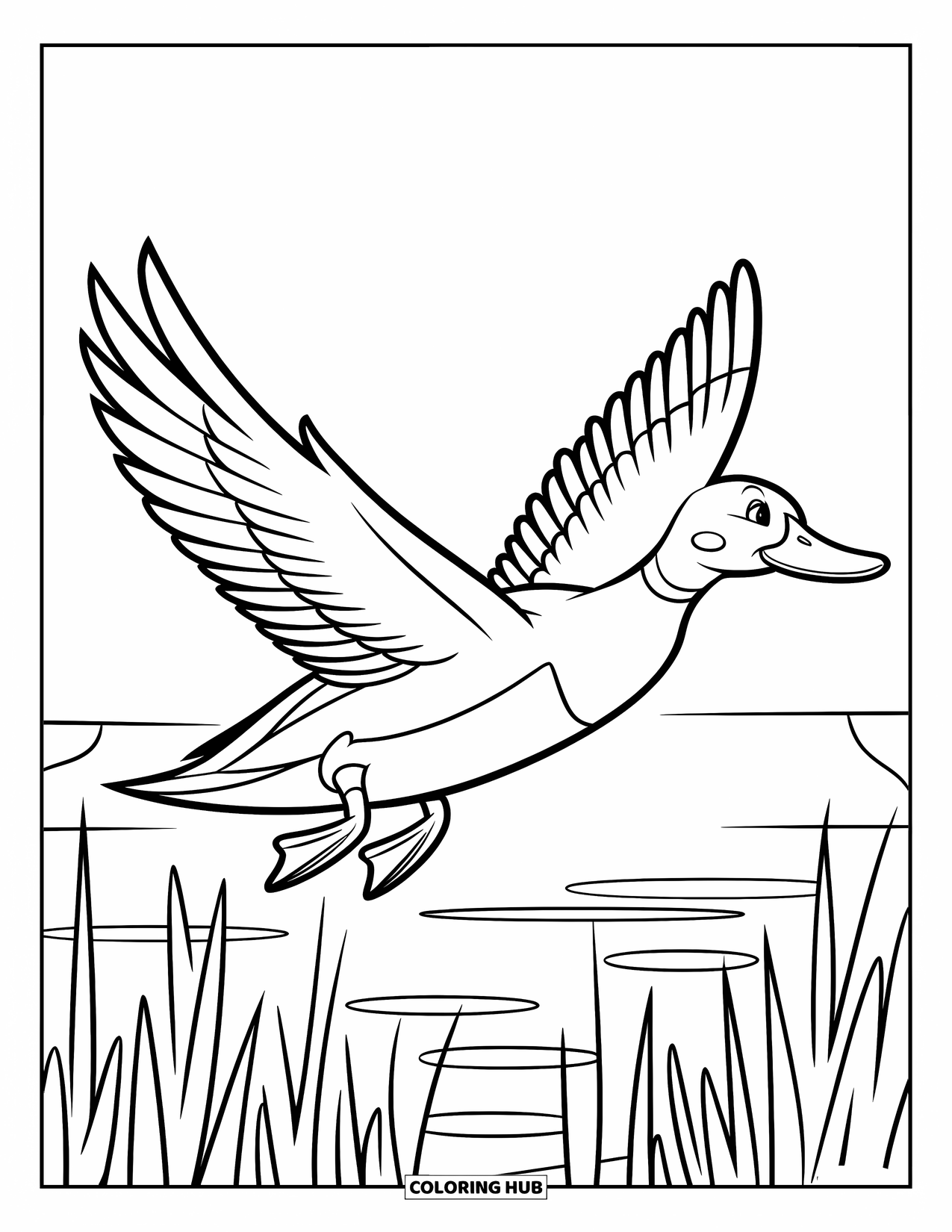 80+ Mallard Duck Coloring Pages for Kids & Adults (Free Printable PDFs)