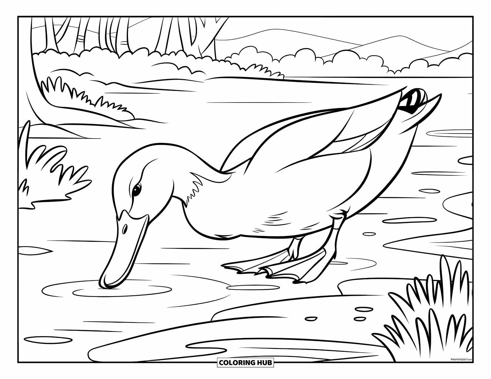80+ Mallard Duck Coloring Pages for Kids & Adults (Free Printable PDFs)