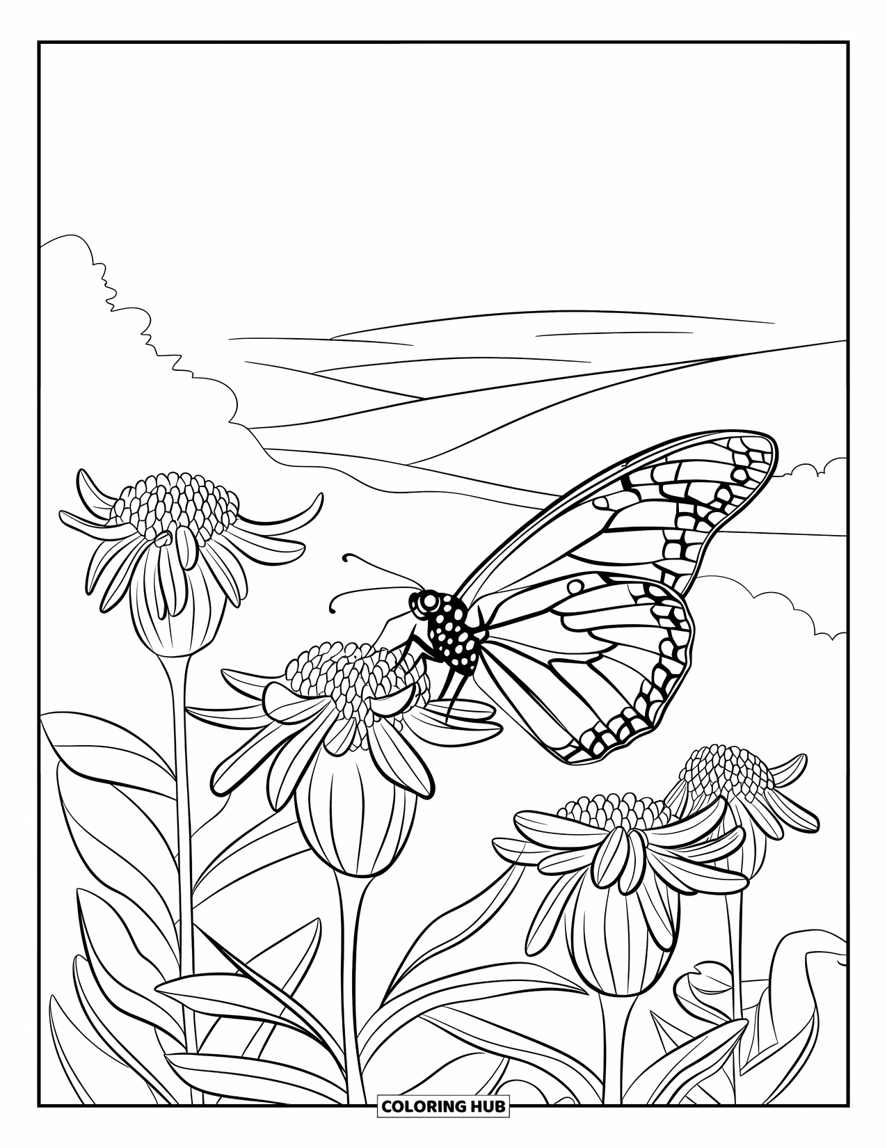 75+ Monarch Butterfly Coloring Pages for Kids & Adults (Free Printable ...