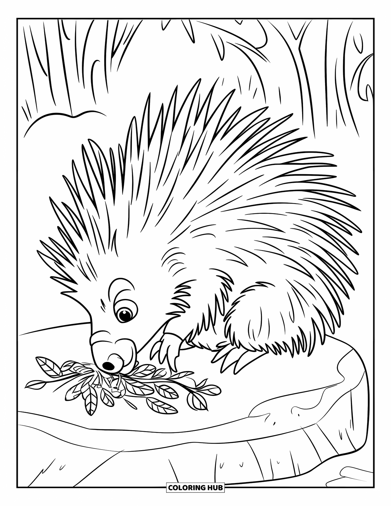 75+ Porcupine Coloring Pages for Kids & Adults (Free Printable PDFs)