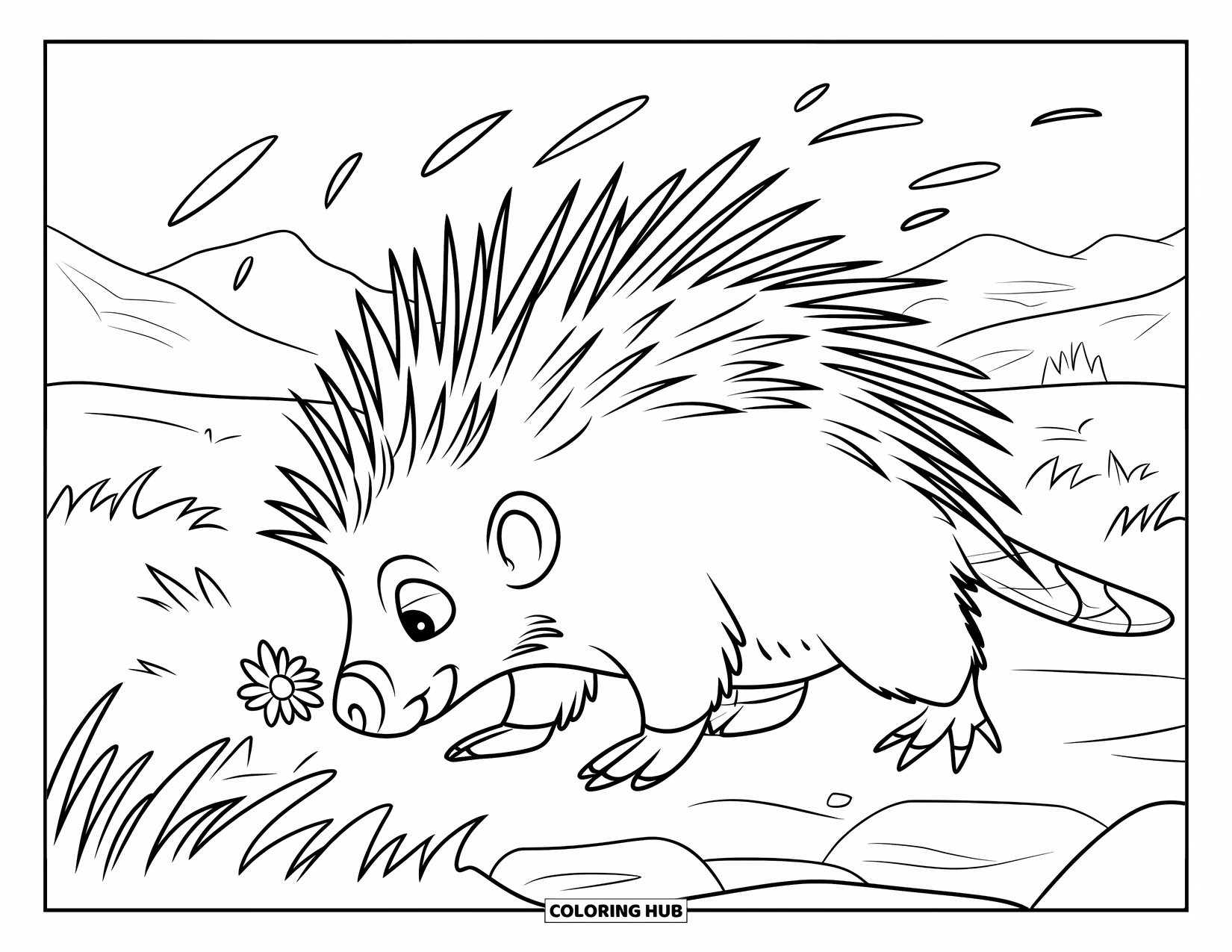 75+ Porcupine Coloring Pages for Kids & Adults (Free Printable PDFs)