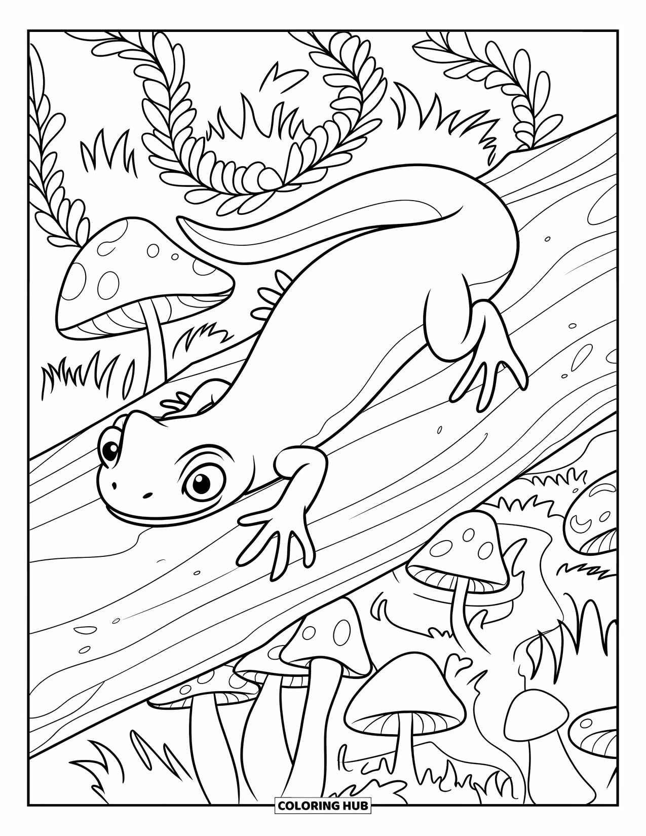 70+ Salamander Coloring Pages for Kids & Adults (Free Printable PDFs)