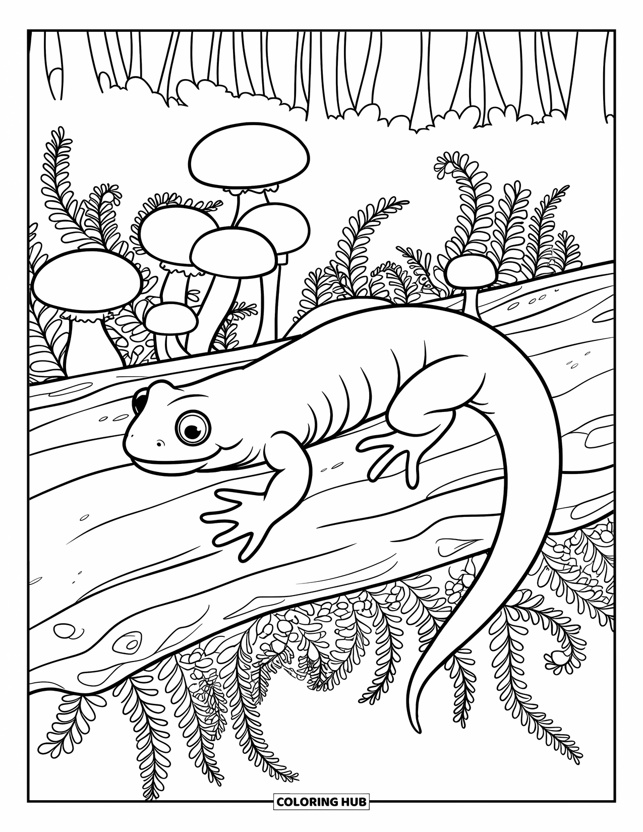 70+ Salamander Coloring Pages for Kids & Adults (Free Printable PDFs)
