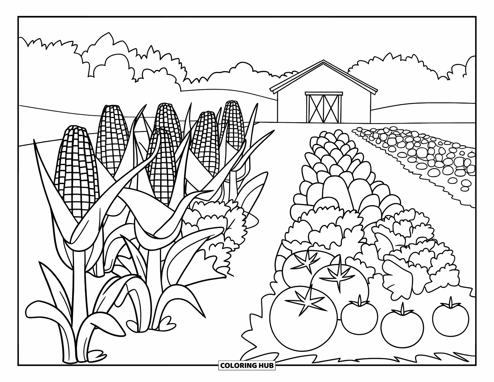 125+ Vegetable Coloring Pages for Kids & Adults (Free Printable PDFs)