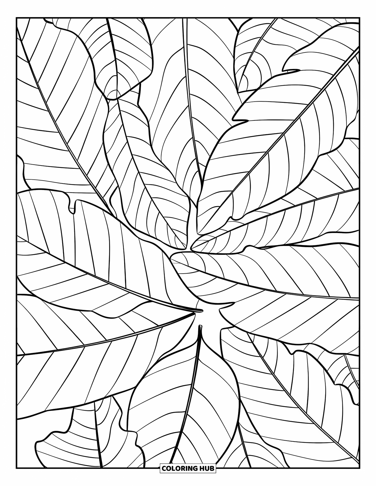 80+ Autumn Leaves Coloring Pages for Kids & Adults (Free Printable PDFs)