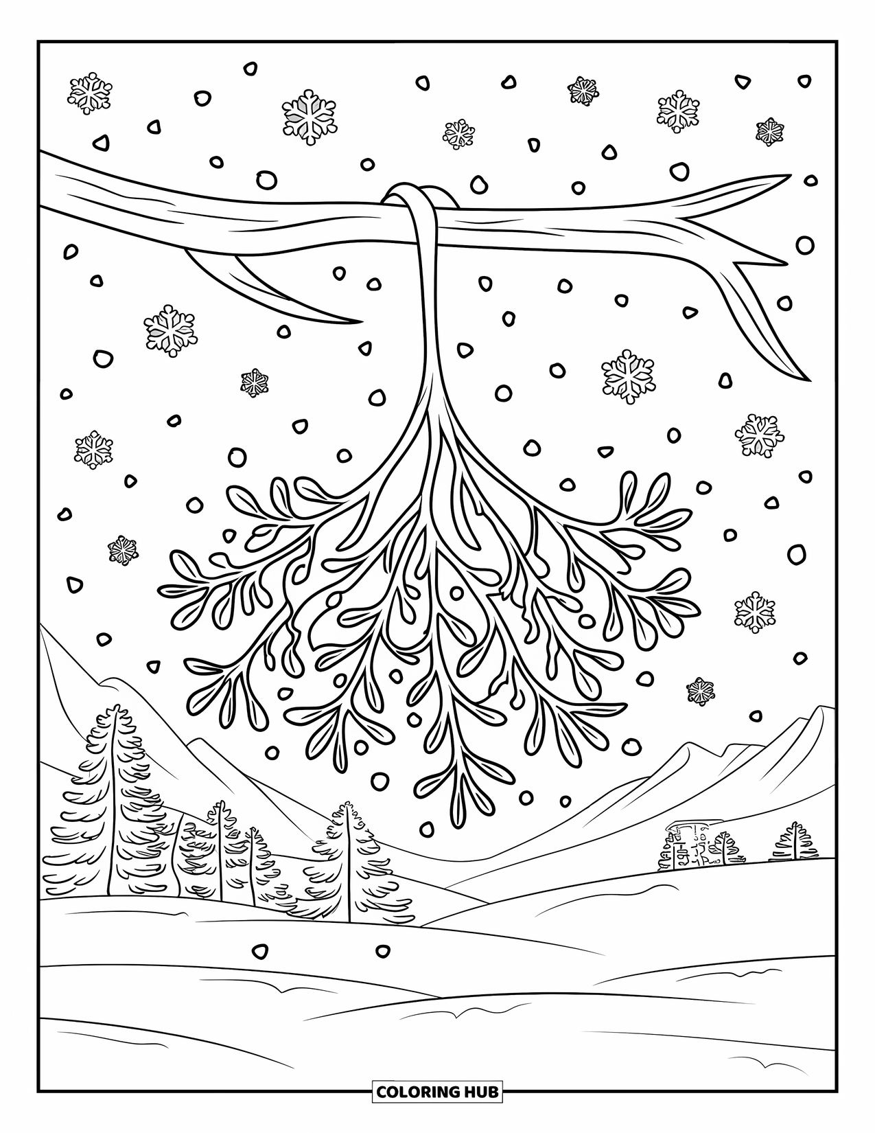 65+ Mistletoe Coloring Pages for Kids & Adults (Free Printable PDFs)