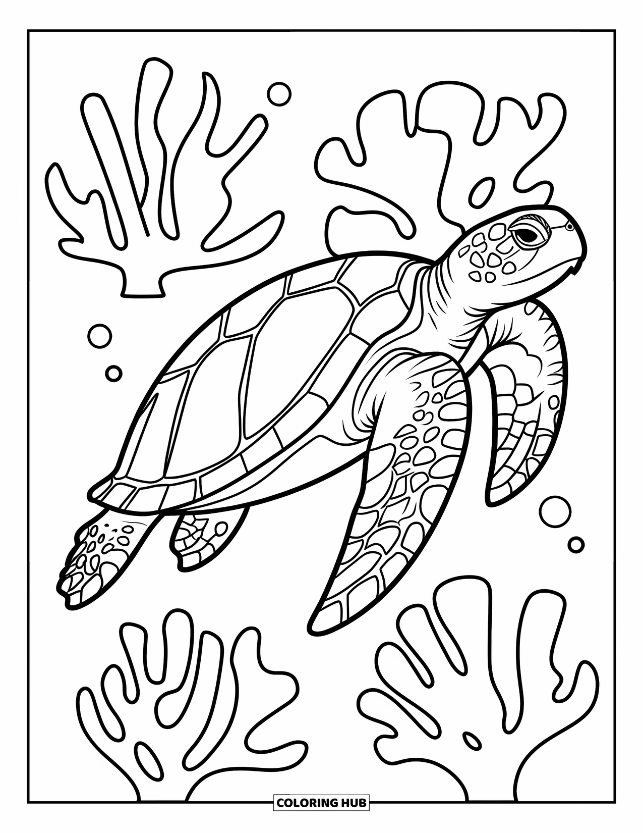 80+ Sea Coloring Pages for Kids & Adults (Free Printable PDFs)