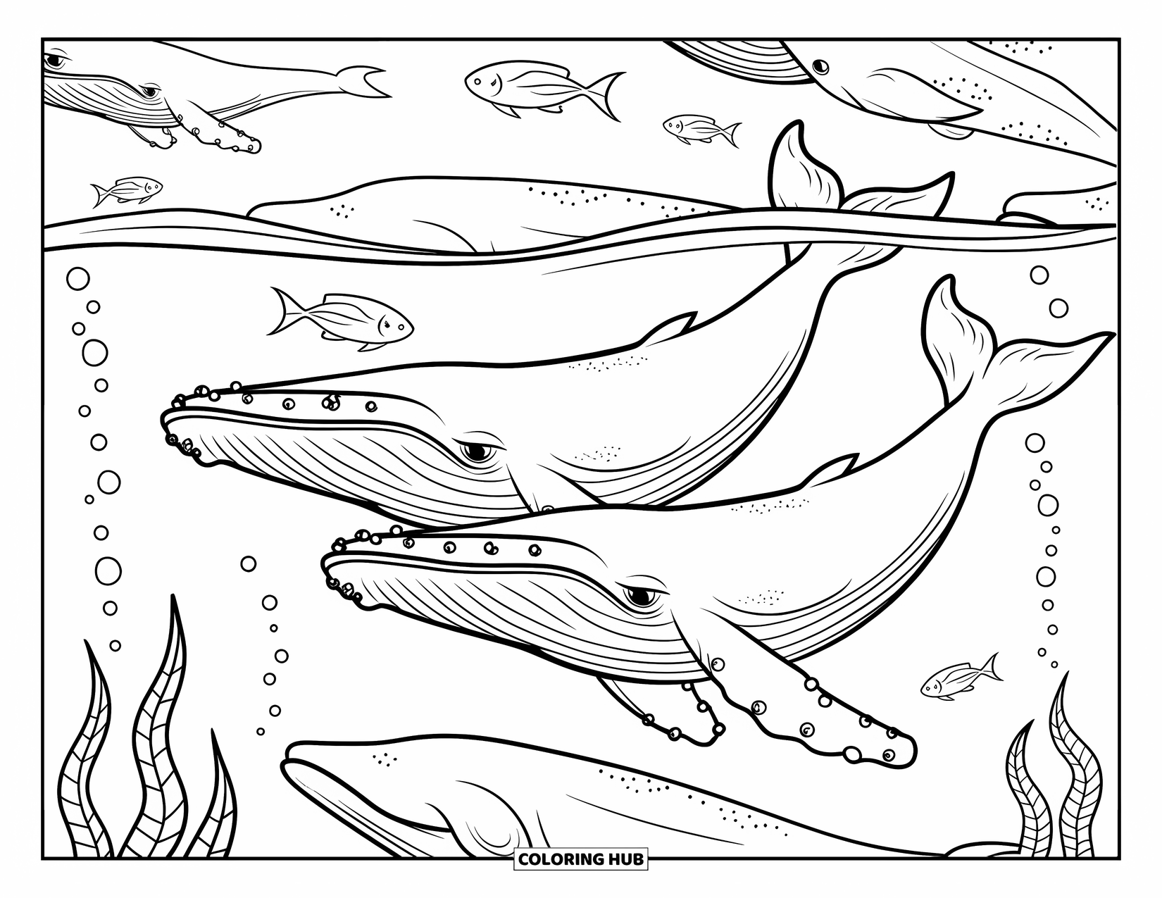 80+ Sea Coloring Pages for Kids & Adults (Free Printable PDFs)