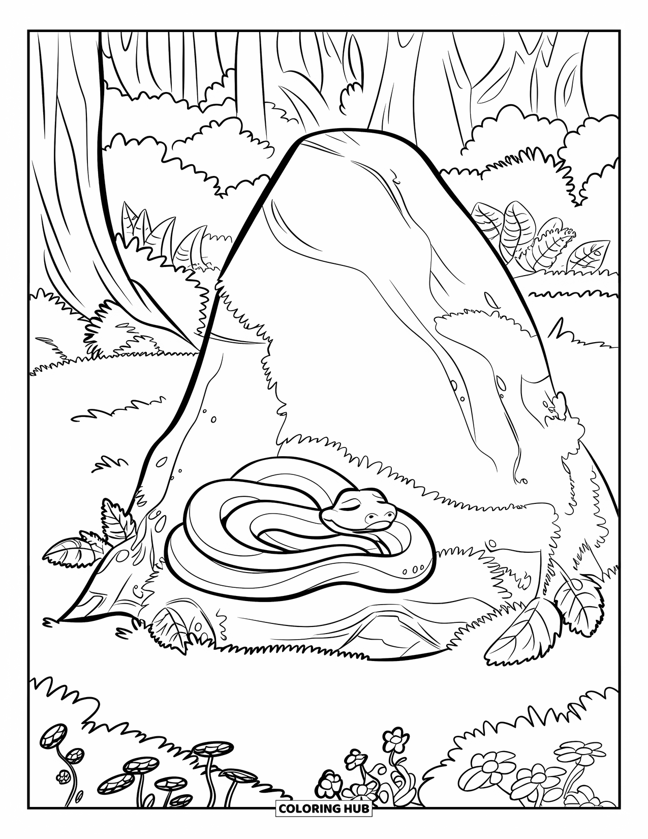 70+ Hibernating Animals Coloring Pages for Kids & Adults (Free ...