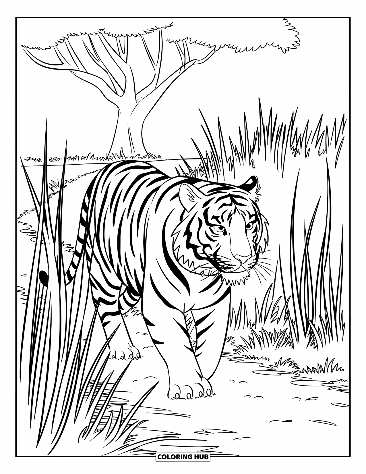 80+ Wildlife Coloring Pages for Kids & Adults (Free Printable PDFs)